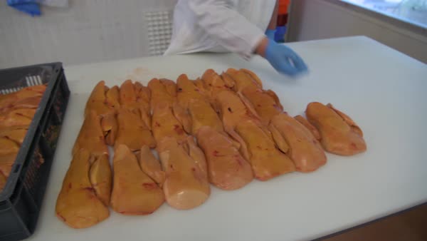 Foie Gras Is the liver of an overfed duck, food factory industry ...