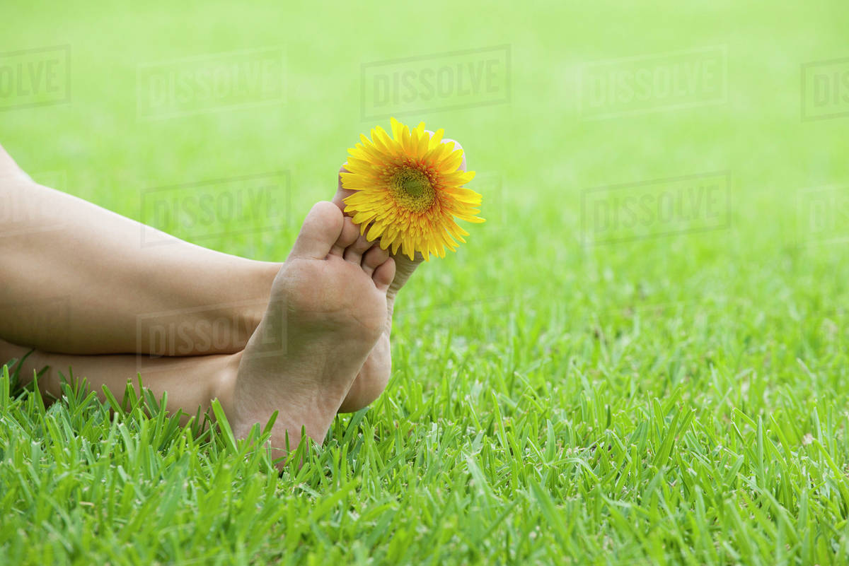 Holding flower between toes - Royalty-free Stock Photo | Dissolve