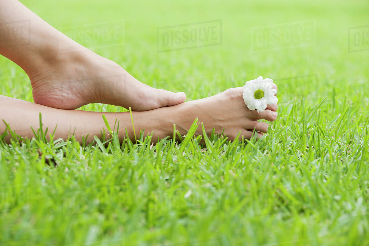 Holding flower between toes - Royalty-free Stock Photo | Dissolve