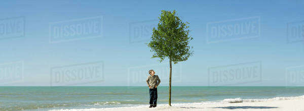 Boy admiring tree growing on beach - Stock Photo - Dissolve