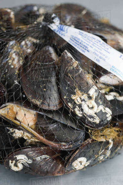 Sack of fresh mussels - Royalty-free Stock Photo | Dissolve