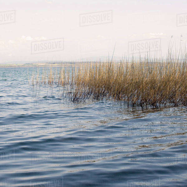 Rippled lake - Royalty-free Stock Photo | Dissolve