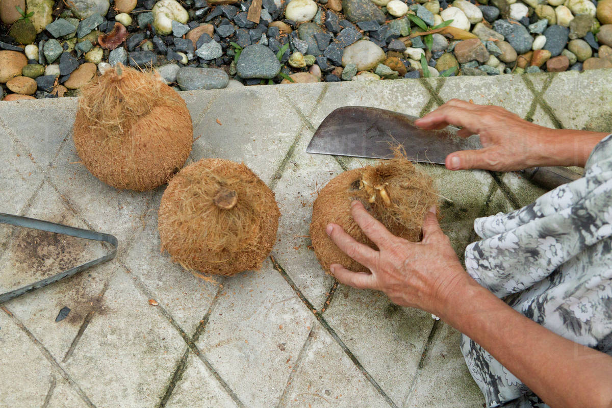 Person cutting coconuts - Royalty-free Stock Photo | Dissolve