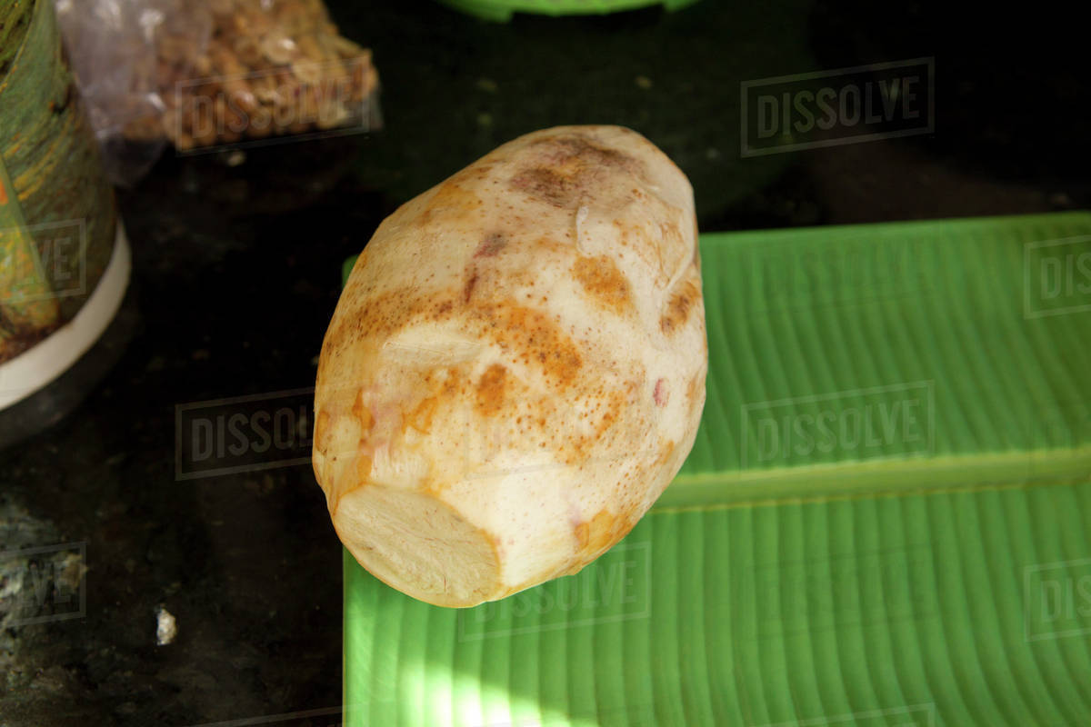 Peeled cassava - Royalty-free Stock Photo | Dissolve