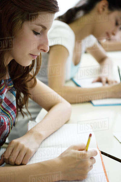 High school students busy with classwork - Royalty-free Stock Photo ...