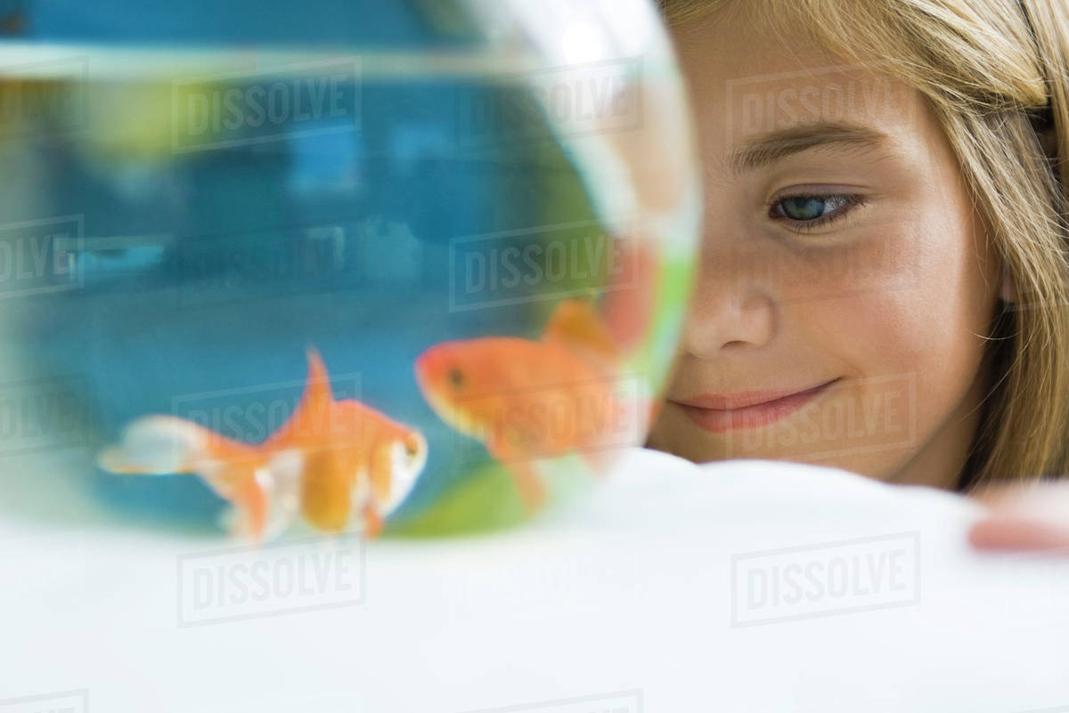 Child watching goldfish swim in fishbowl - Royalty-free Stock Photo ...
