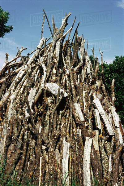 Piled timber, low angle view - Royalty-free Stock Photo | Dissolve