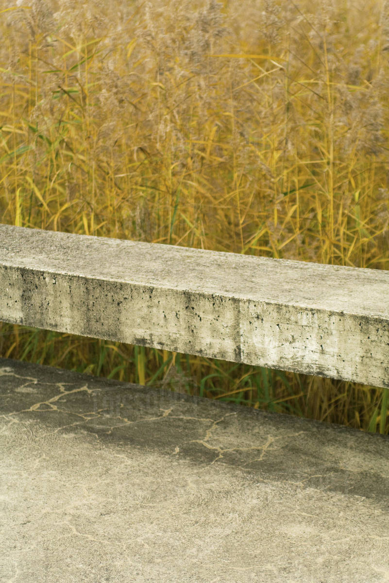 Cement guard rail, field of tall grass in background - Royalty-free ...