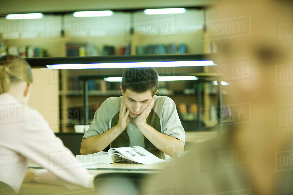 Students studying in library - Royalty-free Stock Photo | Dissolve