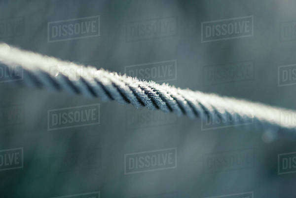 Frost-covered rope, close-up - Stock Photo - Dissolve