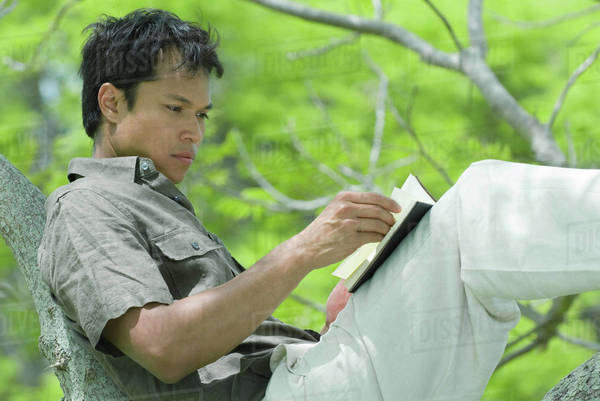 Man resting on tree branch, reading book - Royalty-free Stock Photo ...