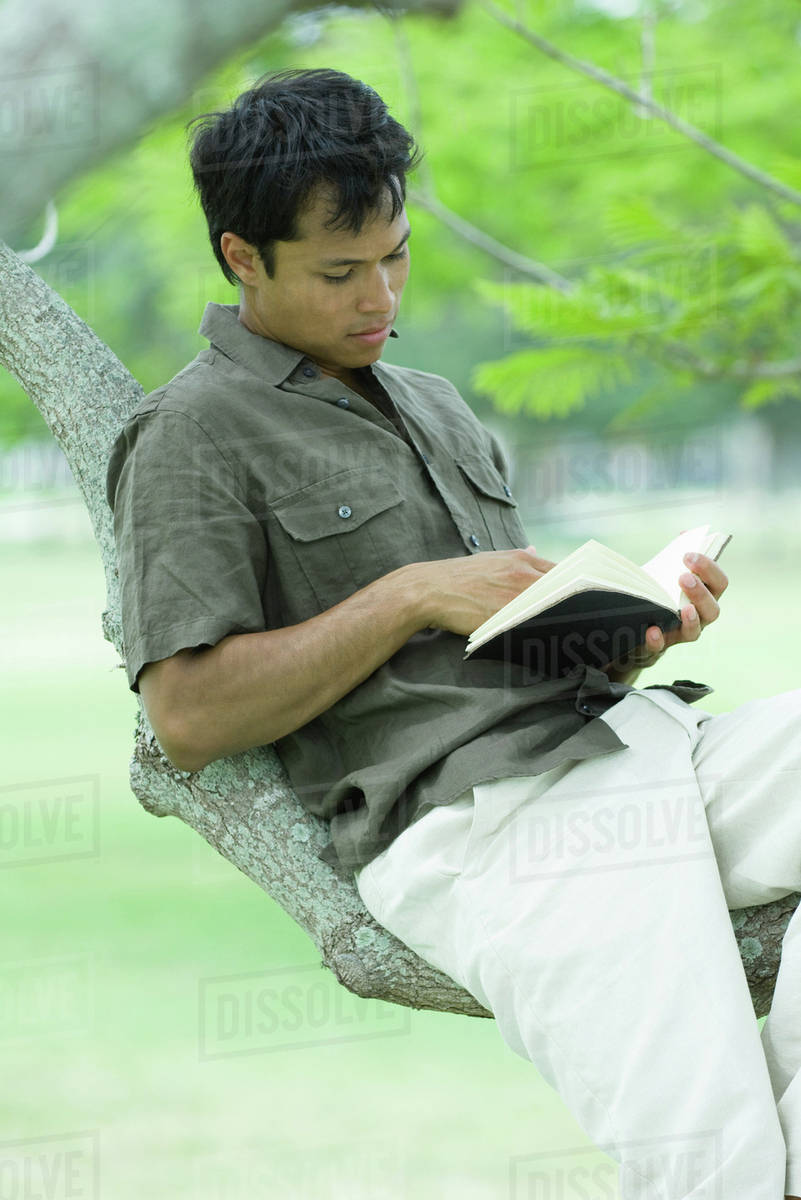 Man sitting in tree, reading book - Royalty-free Stock Photo | Dissolve