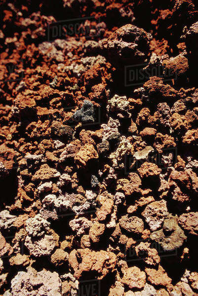 Soil, extreme close-up - Royalty-free Stock Photo | Dissolve