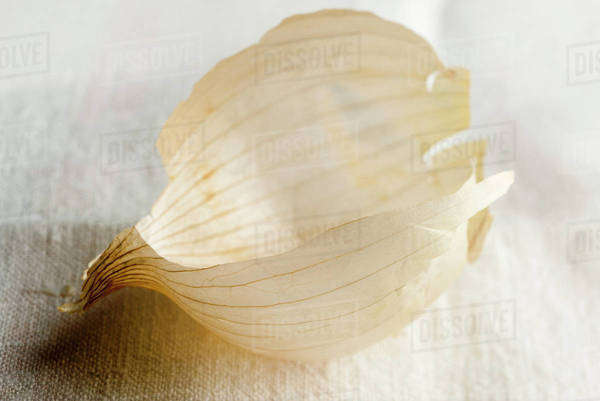 Onion skin - Royalty-free Stock Photo | Dissolve