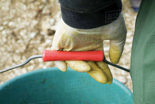 Gloved hand carrying bucket, cropped - Royalty-free Stock Photo | Dissolve