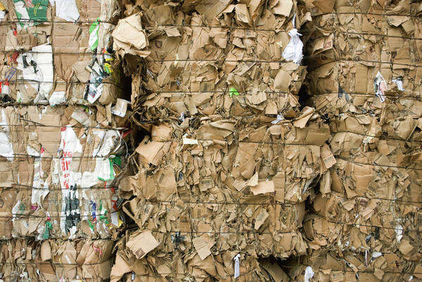 Cardboard bales, full frame - Royalty-free Stock Photo | Dissolve
