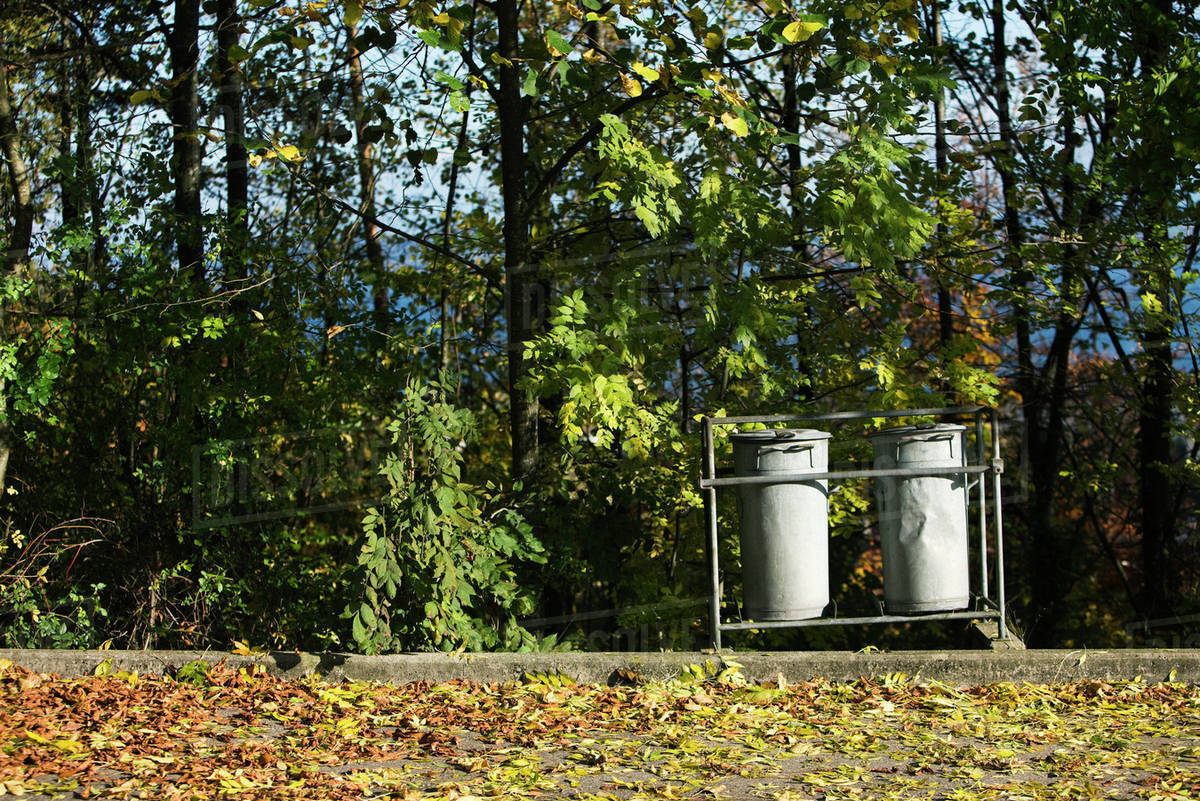 Trash cans on curb along wooded area - Royalty-free Stock Photo | Dissolve