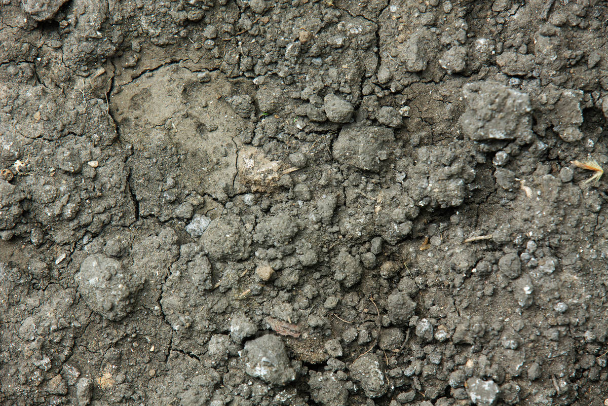 Soil mixed with gravel, rubble - Stock Photo - Dissolve
