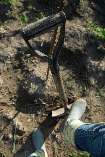 Farmer's booted foot on shovel - Stock Photo - Dissolve