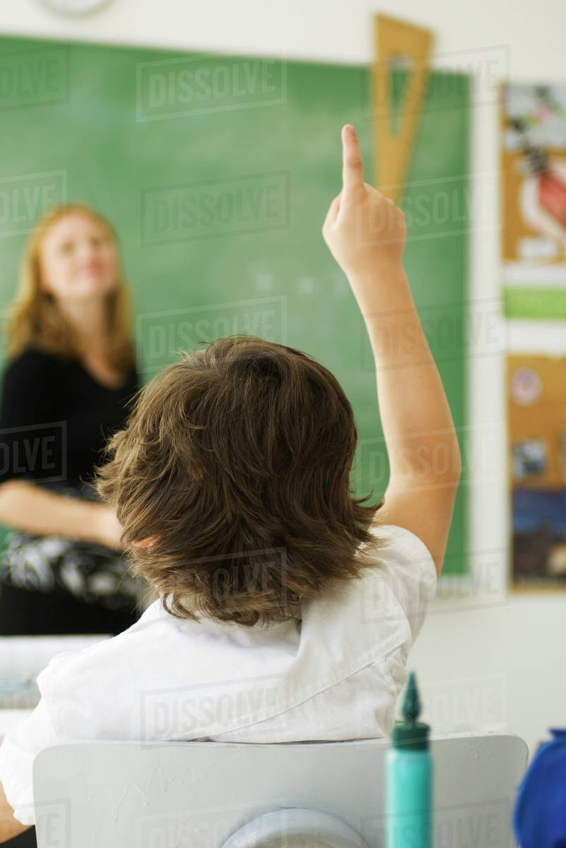Elementary student raising hand in class, rear view - Royalty-free ...
