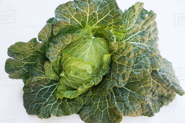Fresh cabbage - Royalty-free Stock Photo | Dissolve