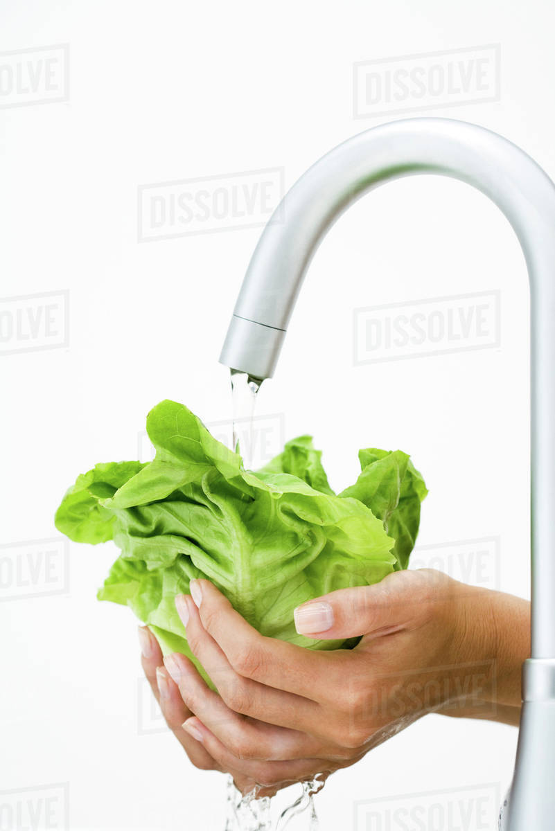 Woman rinsing lettuce under faucet, cropped view of hands - Royalty ...