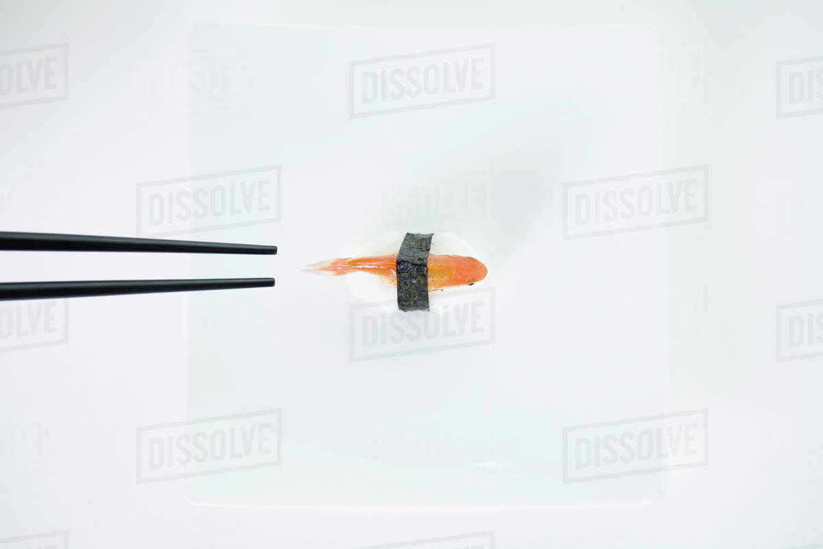 Chopsticks reaching for goldfish prepared as nigiri sushi, overhead ...