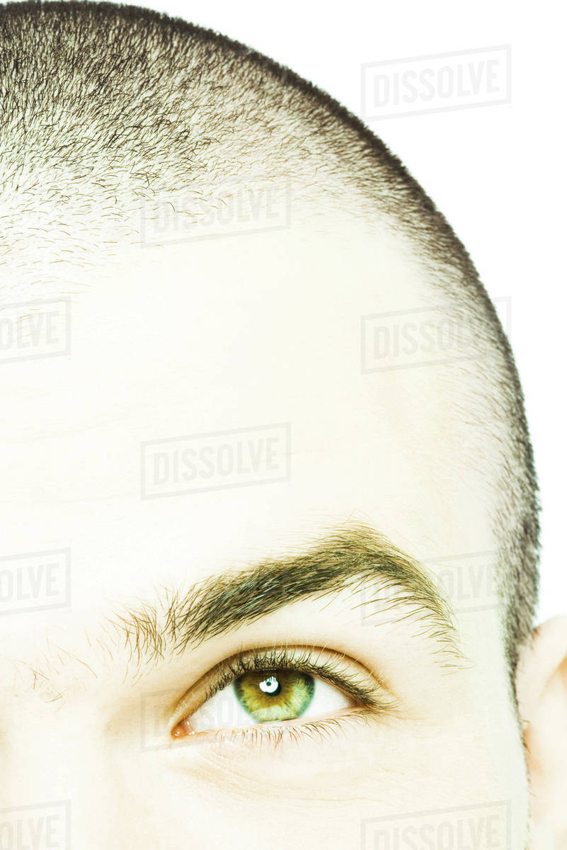 Young man, cropped view of head - Royalty-free Stock Photo | Dissolve