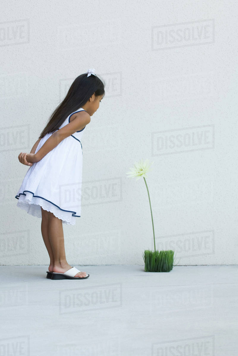 Girl in sundress, leaning forward, looking at flower, side view - Stock ...