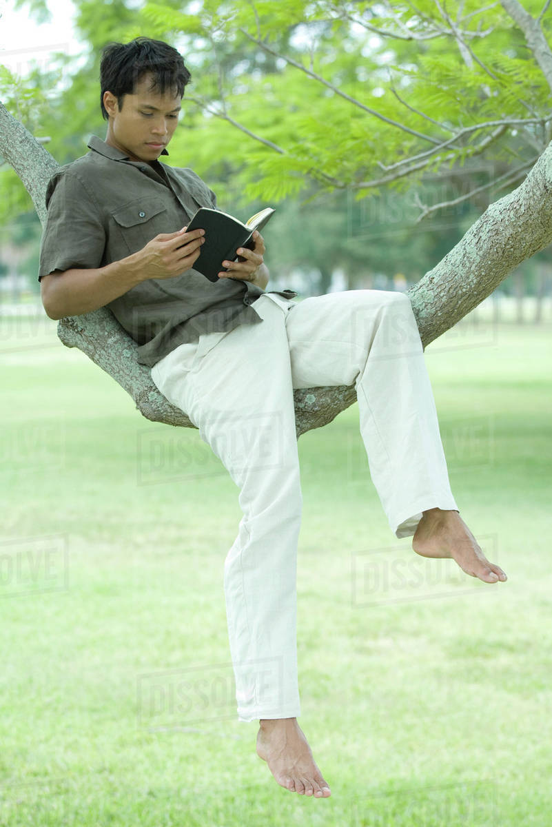 Man sitting on tree branch reading book - Stock Photo - Dissolve