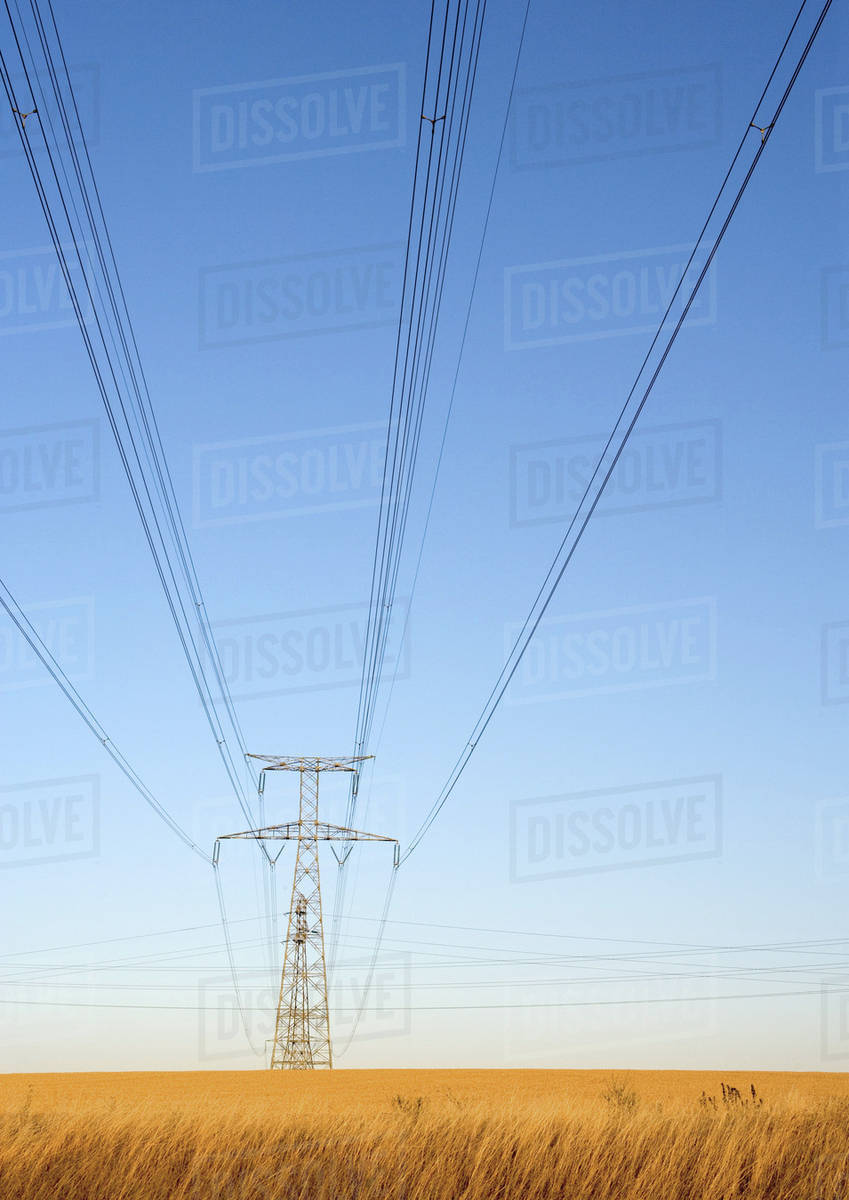 Electric pylon, low angle view - Stock Photo - Dissolve