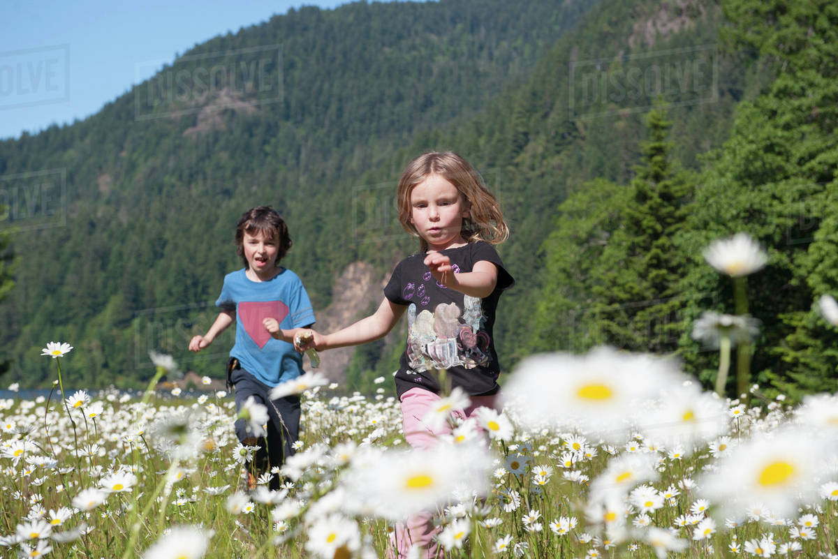 Children running in field of daisies - Stock Photo - Dissolve