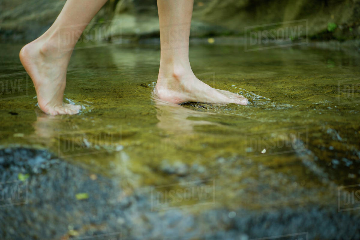 Person wading barefoot in stream, cropped - Stock Photo - Dissolve