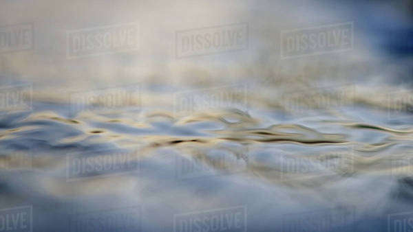 Rippled water surface - Royalty-free Stock Photo | Dissolve
