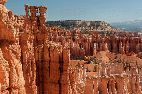 Hoodoo rock formations in Bryce Canyon National Park, Utah, USA - Stock ...