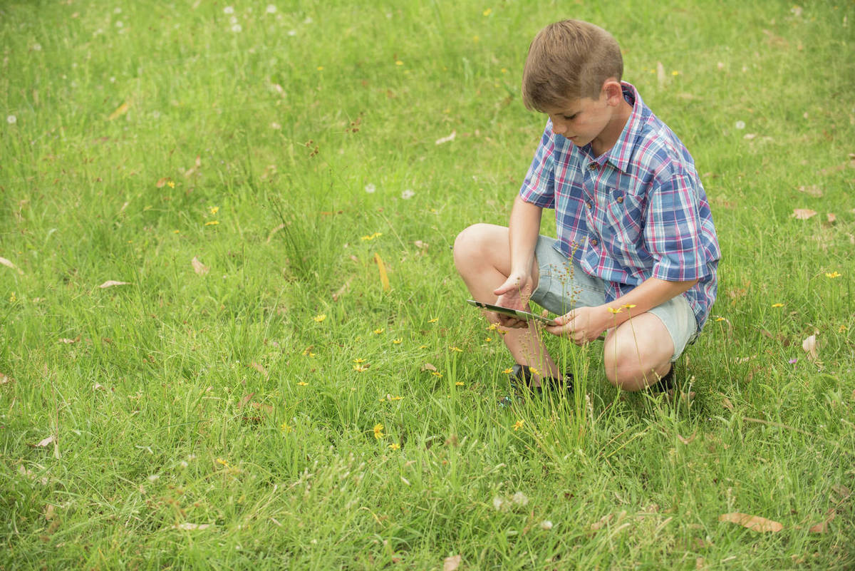 Boy crouching in grass, using digital tablet - Stock Photo - Dissolve