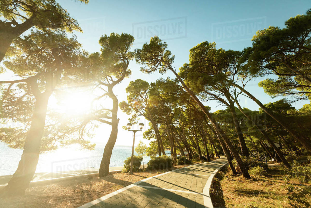 View of empty promenade - Royalty-free Stock Photo | Dissolve