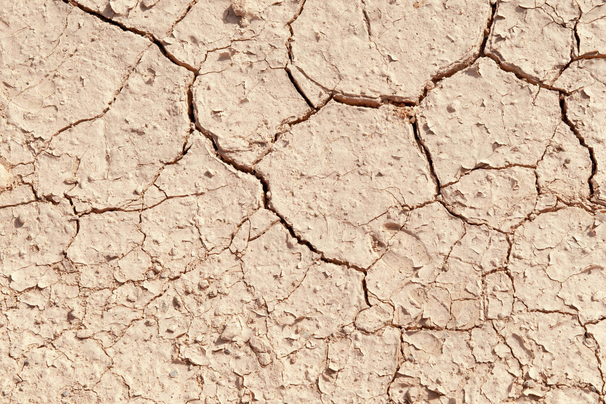 Desert ground, close-up - Royalty-free Stock Photo | Dissolve