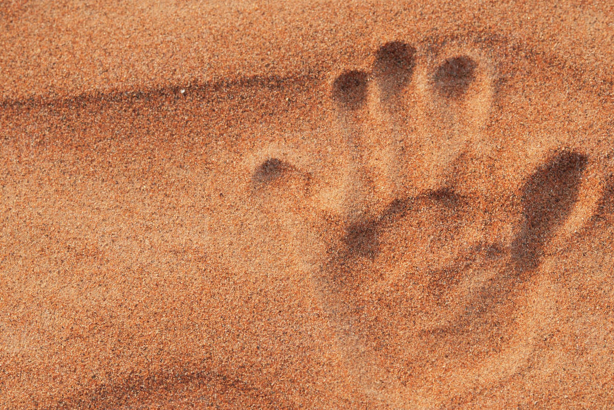 Handprint in sand - Royalty-free Stock Photo | Dissolve