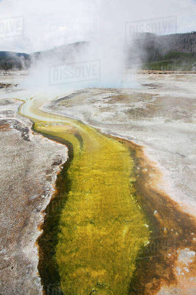 Steam rising from hot spring in basin - Royalty-free Stock Photo | Dissolve