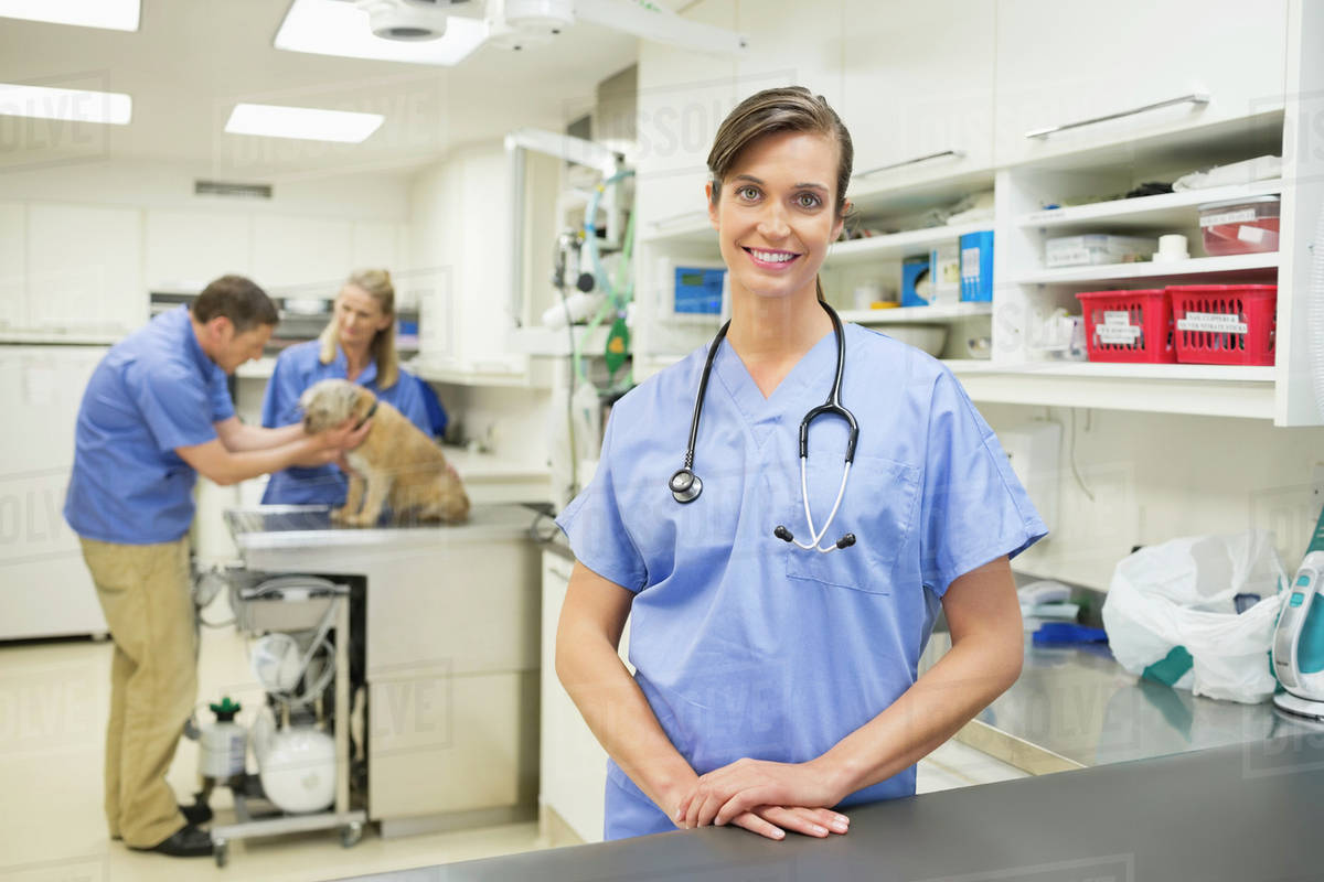 Smiling veterinarian standing in vet’s surgery - Stock Photo - Dissolve