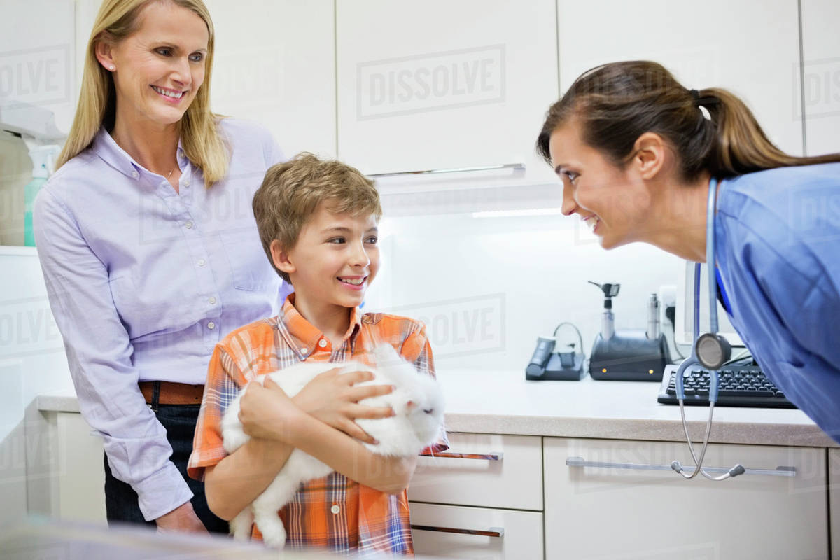 Veterinarian talking to pet owner in vet's surgery - Royalty-free Stock ...