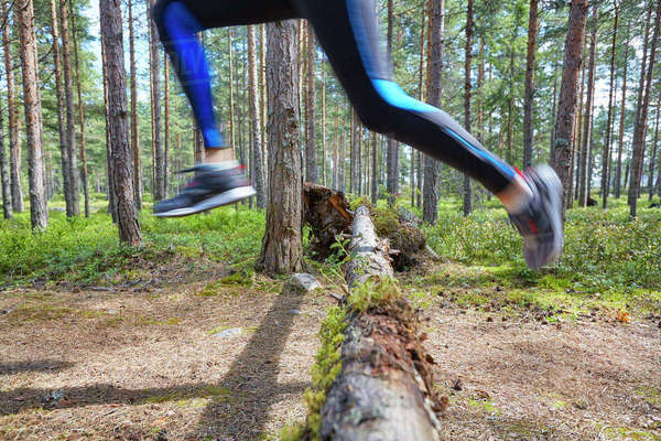 Runner jumping over fallen log on trail in woods - Royalty-free Stock ...