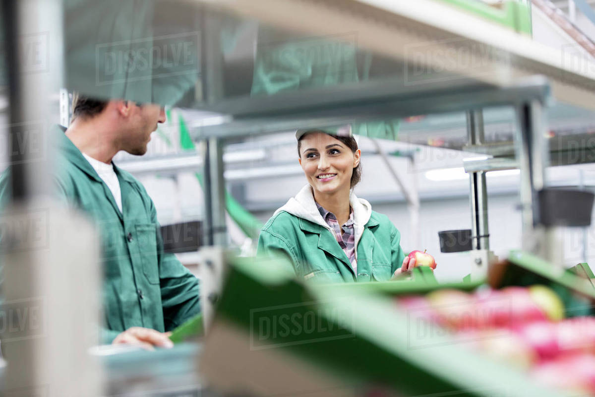 Smiling workers processing apples in food processing plant - Stock ...