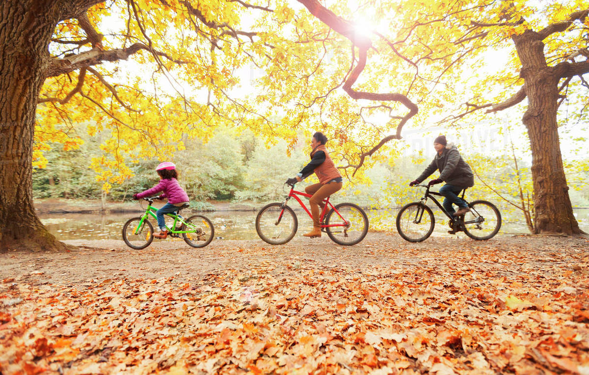 Young family bike riding in autumn park - Stock Photo - Dissolve