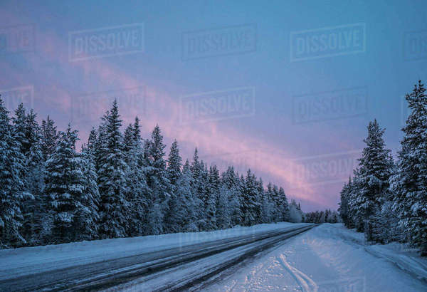 Remote winter road through snow covered forest trees, Lapland, Finland ...