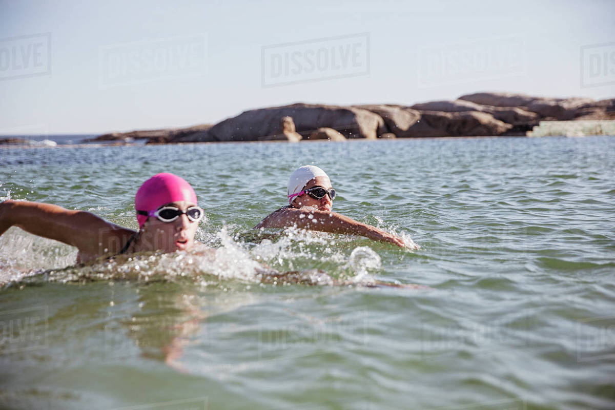 Determined, focused open water swimmers swimming in sunny ocean ...