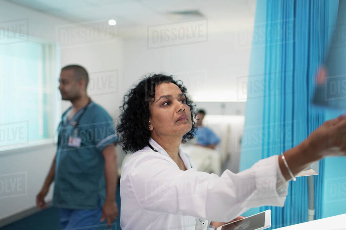 Focused female doctor working in hospital room - Royalty-free Stock ...