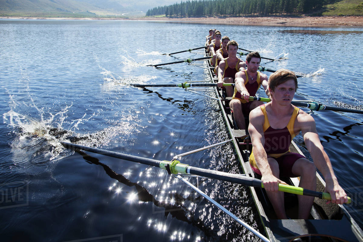 Rowing team rowing scull on lake - Royalty-free Stock Photo | Dissolve