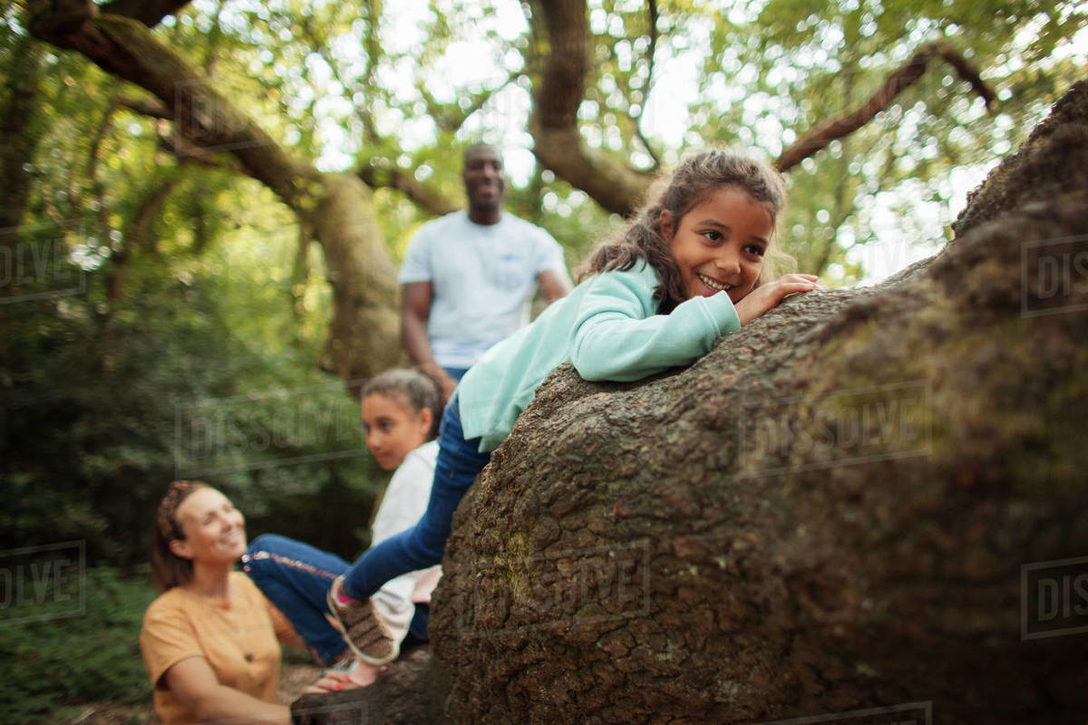 Happy family climbing tree in woods - Stock Photo - Dissolve